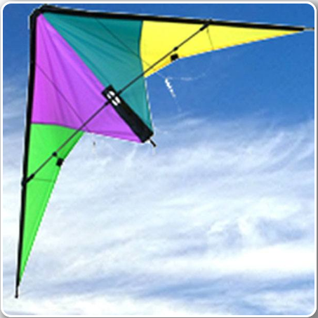 WINDSPEED Razorback Dual Control Stunt Kite - WS610 – RC Garage Hobby Shop
