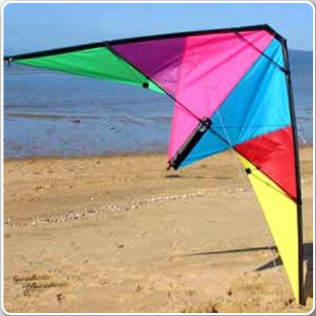 WINDSPEED Wind-Dancer Dual Control Stunt Kite - WS640 – RC Garage Hobby ...