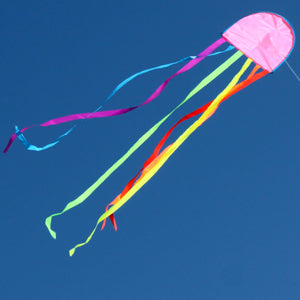 WINDSPEED Jellyfish Single Line Kite - WS150 – RC Garage Hobby Shop