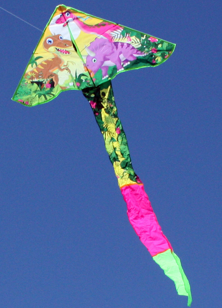 WINDSPEED Dinosaur Delta Single Line Kite - WS834 – RC Garage Hobby Shop